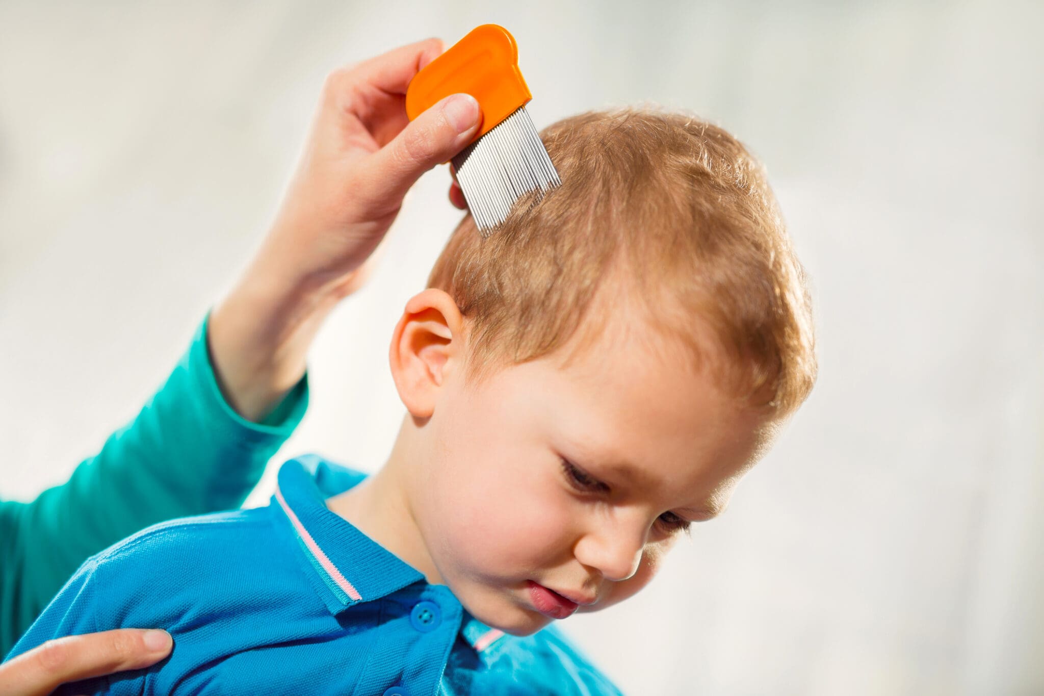 What is a Lice Infestation & How to Get Rid of It